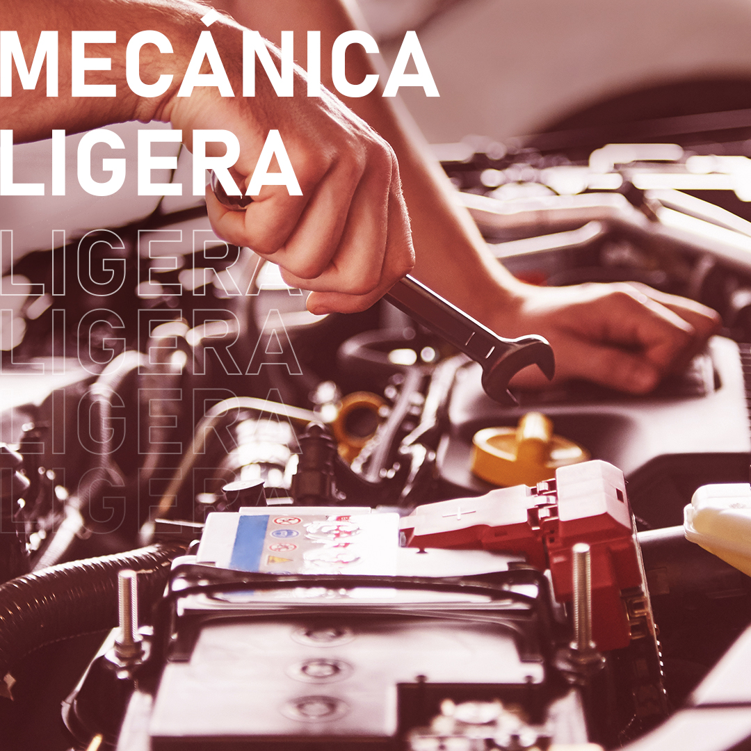 Friocar - Full Service