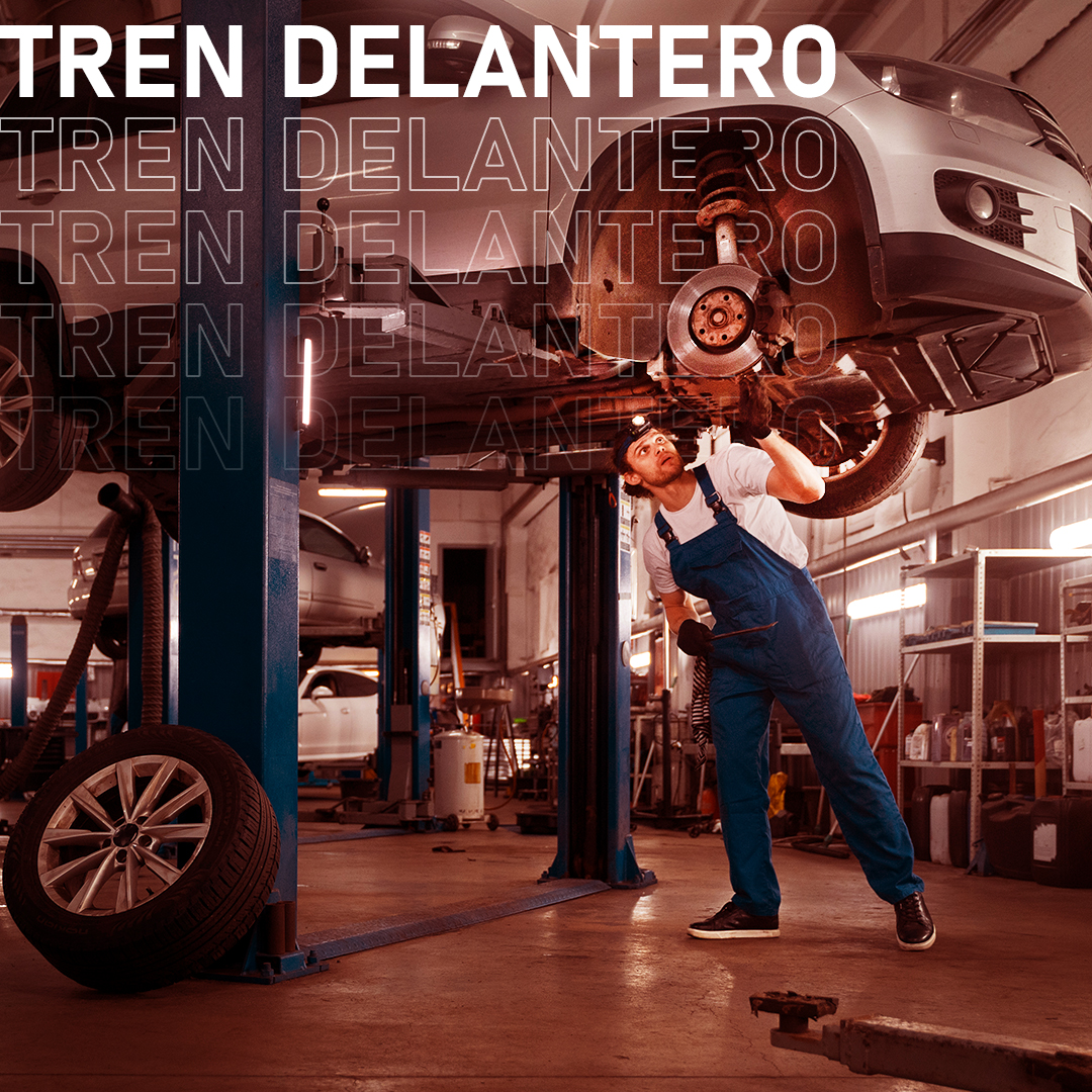 Friocar - Full Service