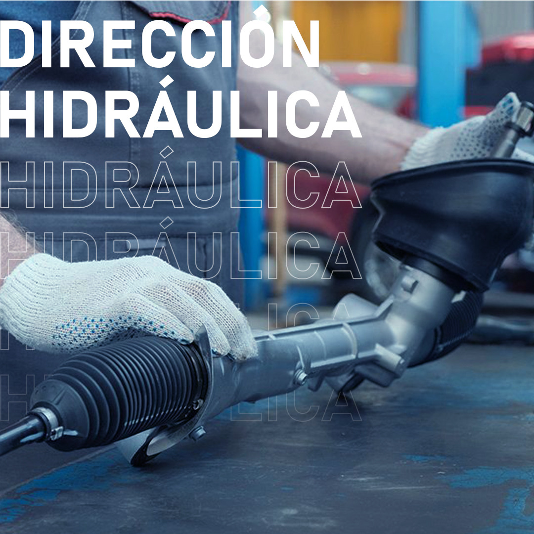 Friocar - Full Service