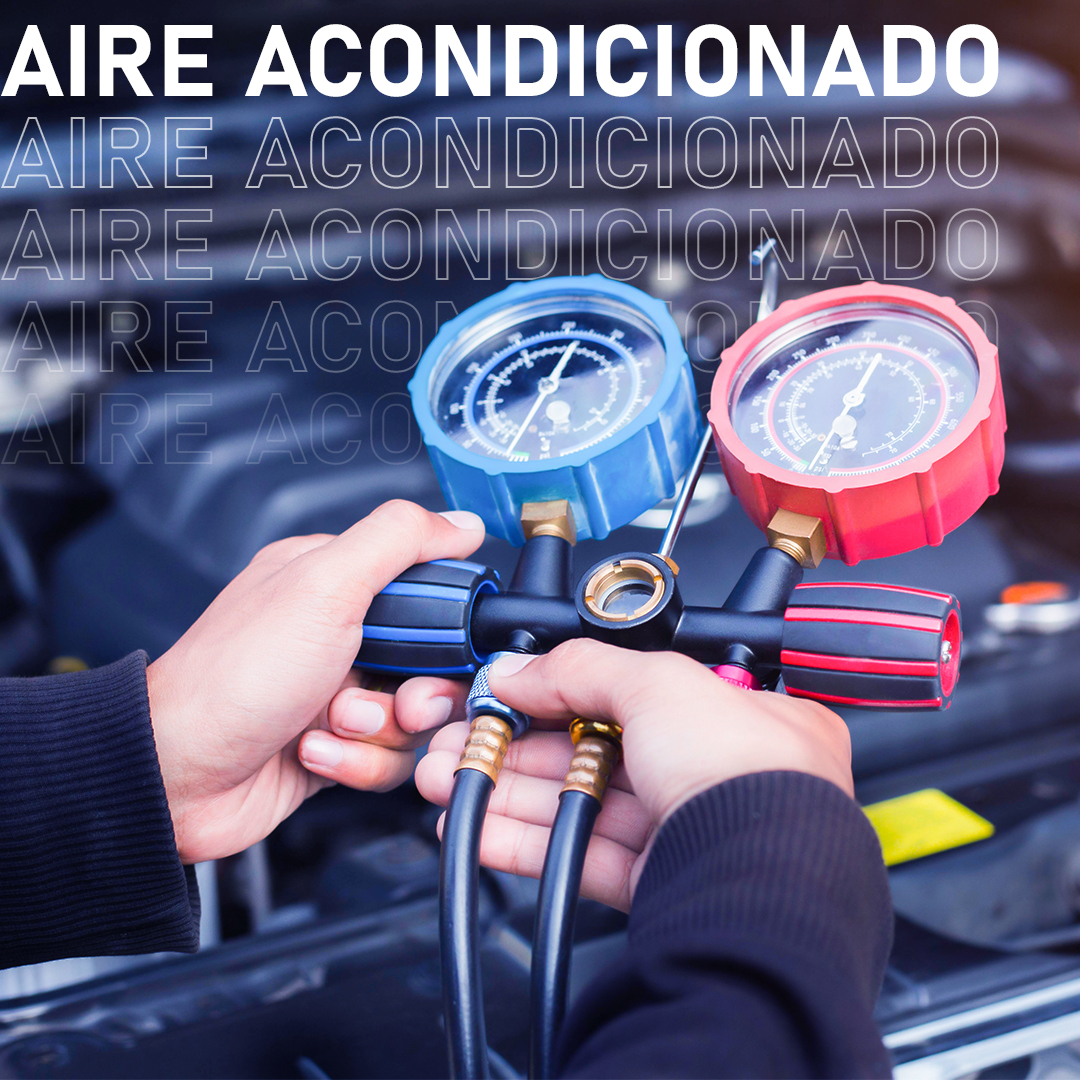 Friocar - Full Service